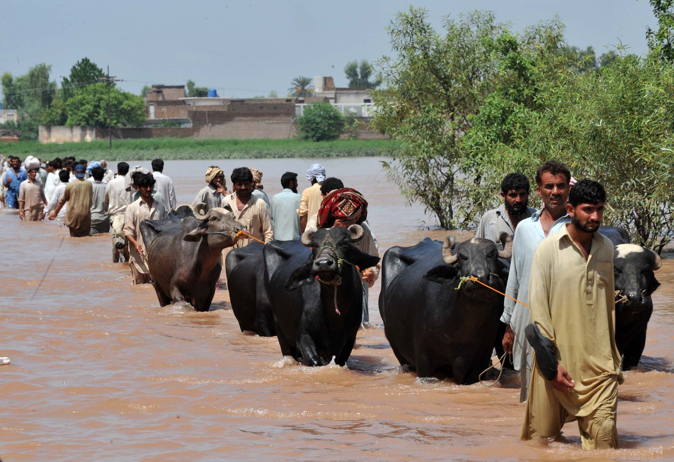 Essay On Weather In Pakistan Today essay-on-weather-in-pakistan-today