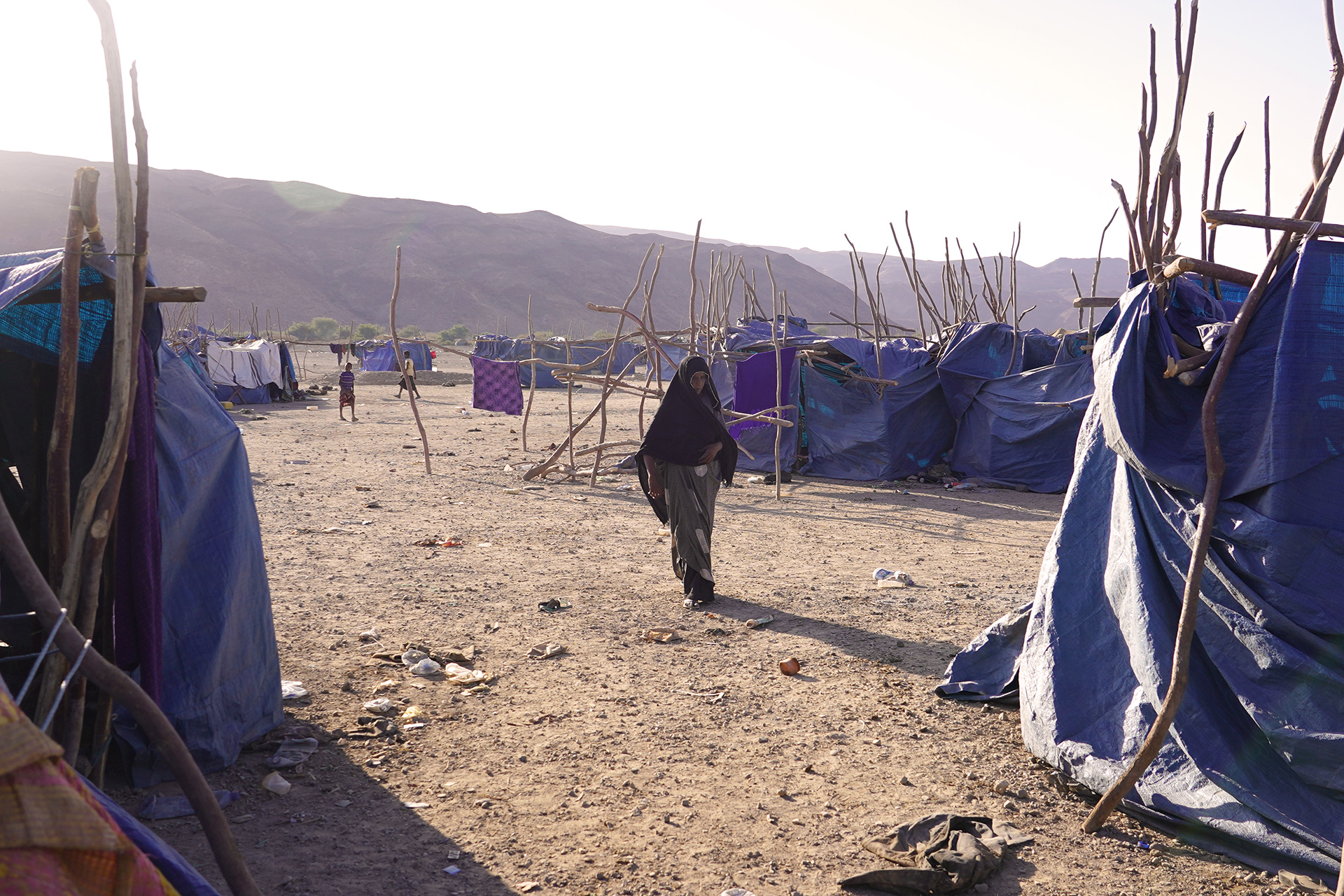 ethiopia-tigray-afar-aid-displacement.jpg | Aid and Policy, Conflict ...