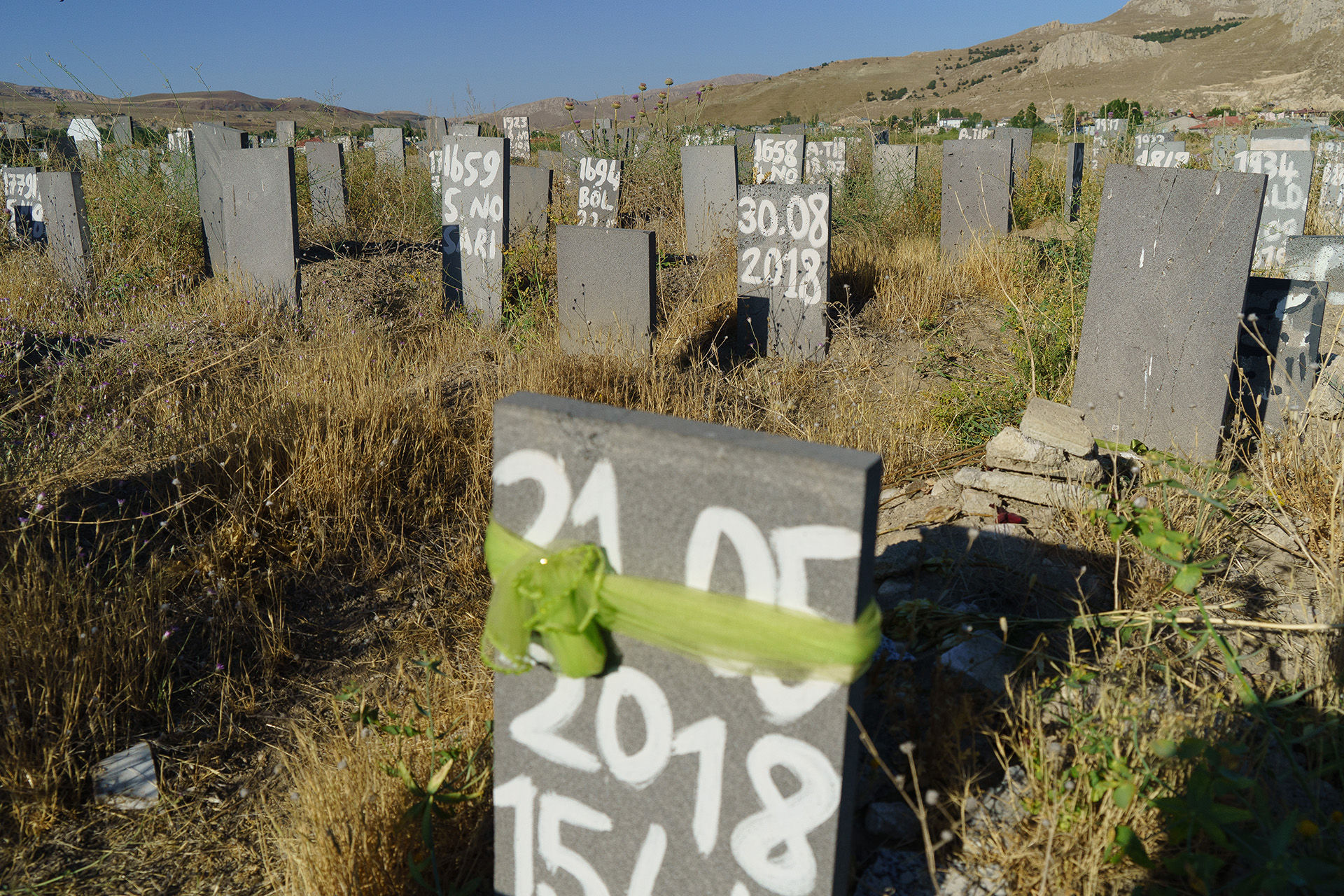 afghan-graves-turkey-border.jpg | Conflict, Migration | The New ...
