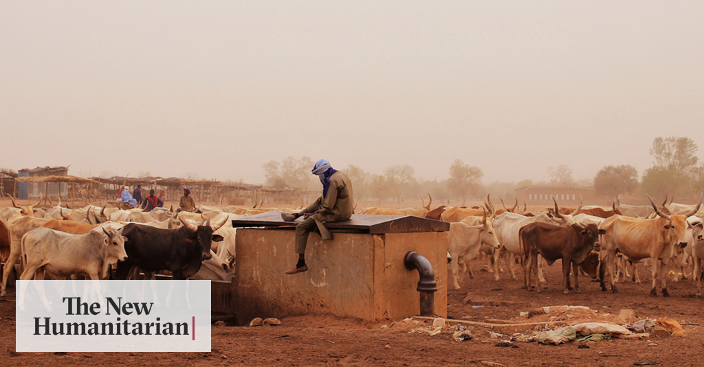How climate change is plunging Senegal’s herders into poverty (TNH ...