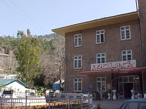 200431210.jpg | صحة | The New Humanitarian