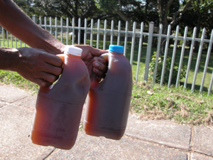 [South Africa] uBhejane - the infamous traditional medicine which is ...