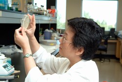 [Egypt] US scientists, such as Dr Hong Yu of the Vaccine and Infectious ...