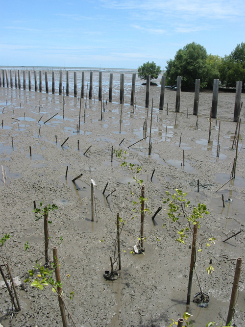 Efforts are underway to build breakers to stem the heavy waves and ...