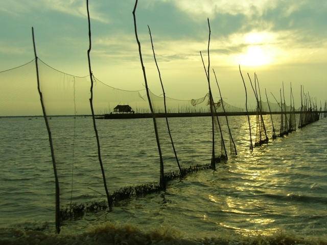 Scientists and fish experts are concerned that with the heavy pressure ...