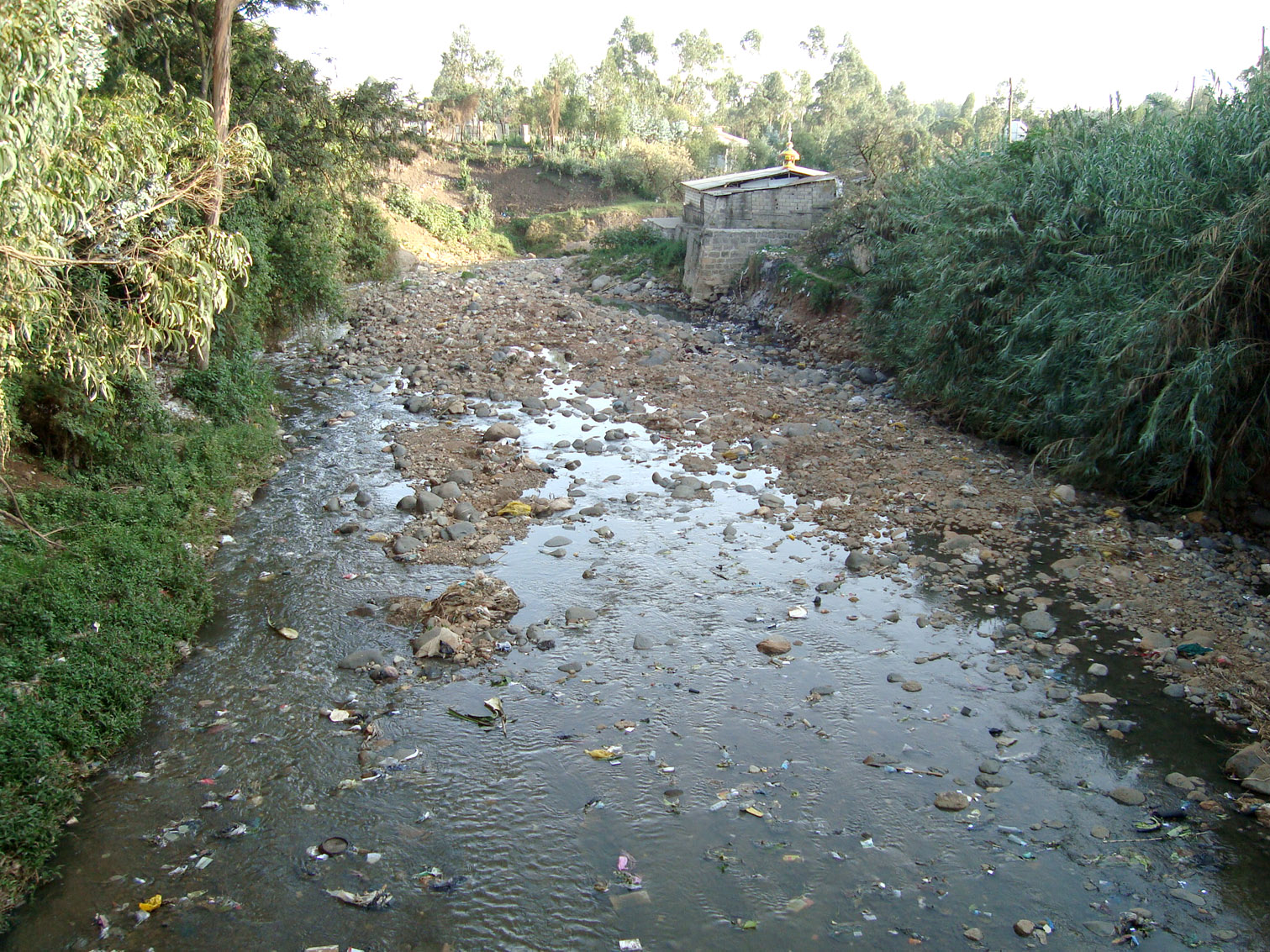 Rivers polluted by defecation in Addis Ababa | صحة | The New Humanitarian
