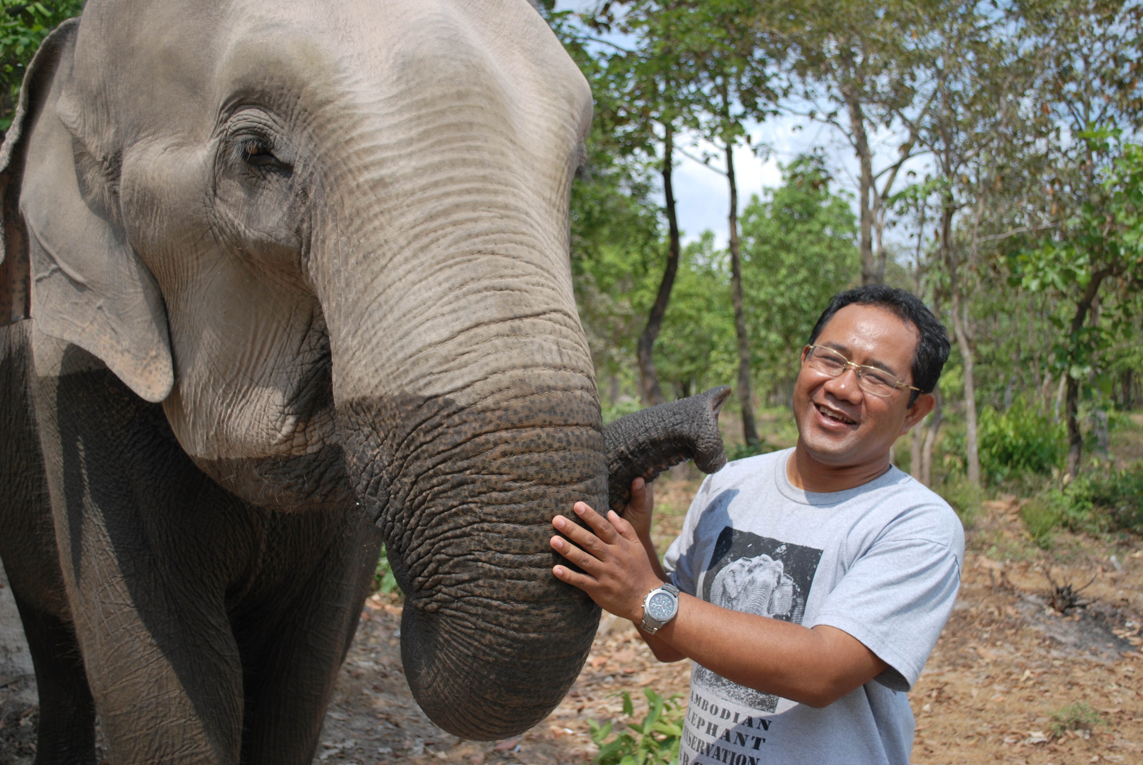 The New Humanitarian | When elephants and humans clash