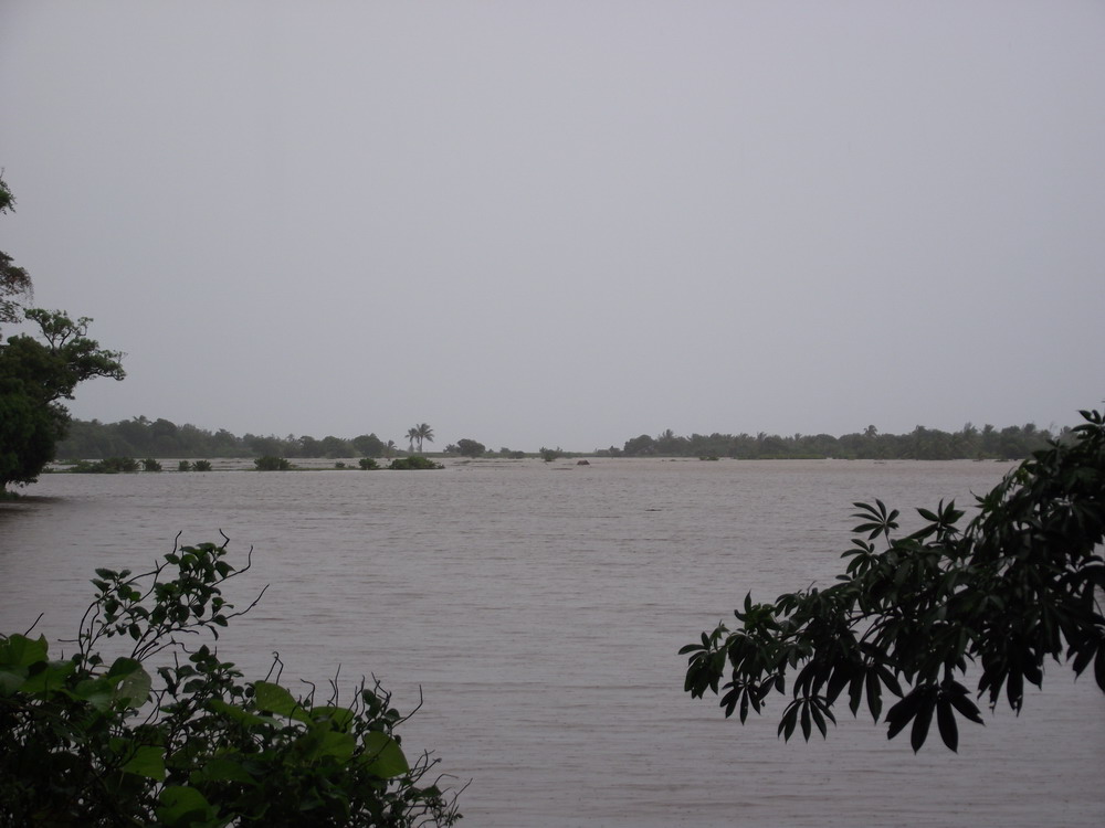 Damage caused by Cyclone Bingiza, near Antalaha in the north east of ...