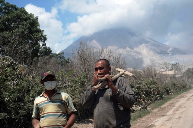 201402031104140252.jpg | The New Humanitarian