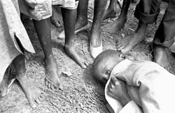 [Rwanda] 1994 Genocide in Rwanda | Human Rights | The New Humanitarian