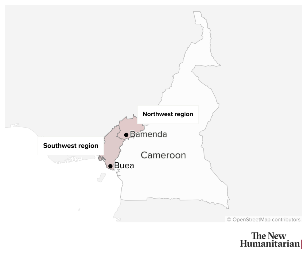 The New Humanitarian | Broken promises: Cameroon’s troubled disarmament ...