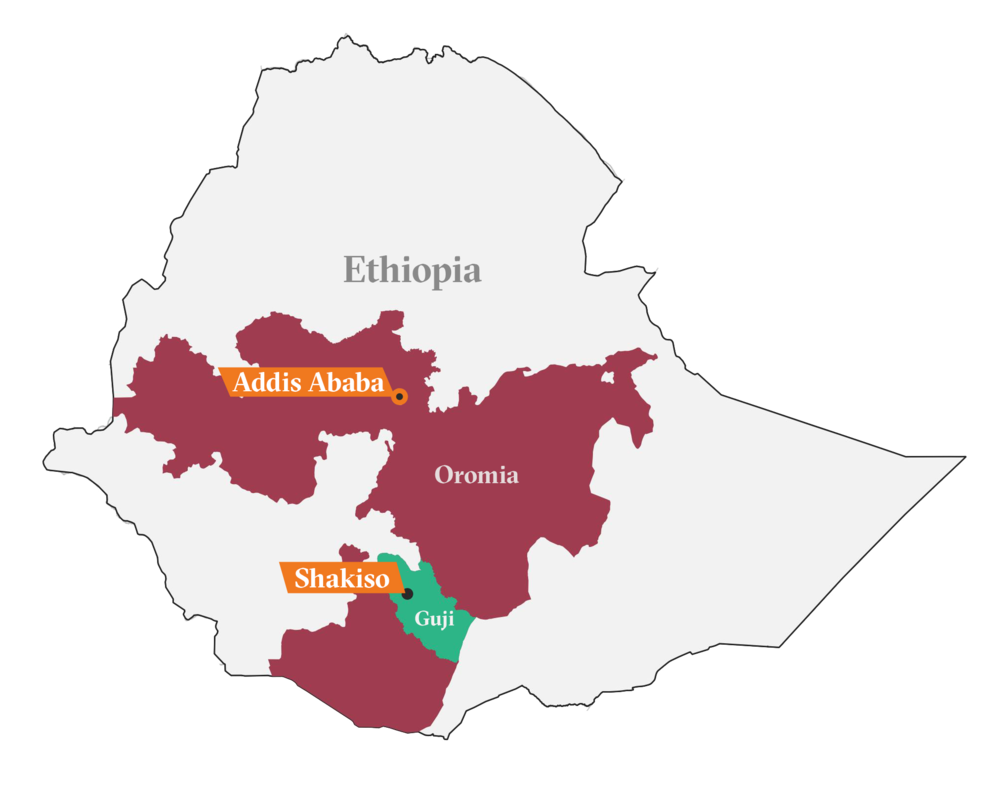 ethiopia-oromia-guji-shakiso-no-background.png | | The New Humanitarian