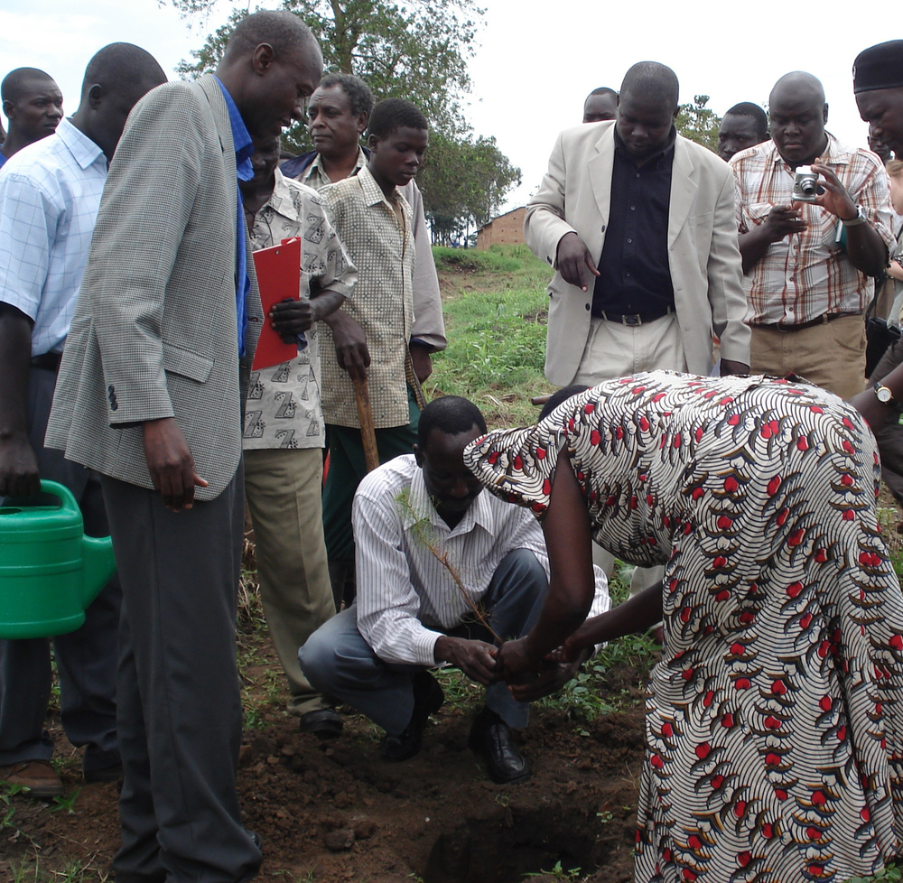 The New Humanitarian | Environmentalists point to worrying pace of ...