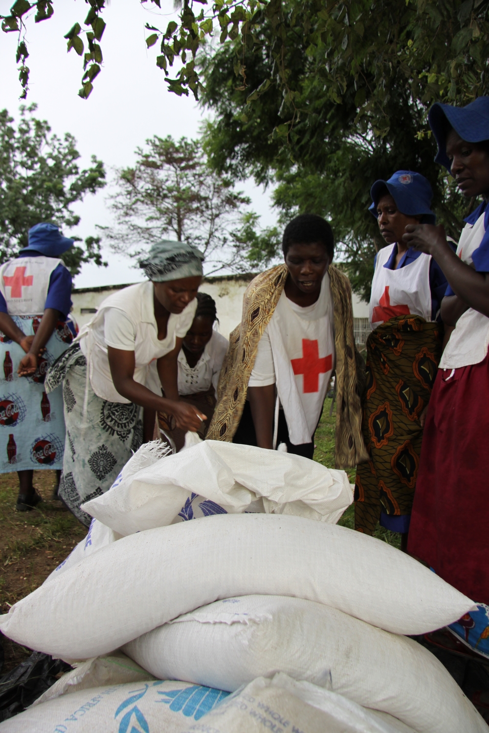 The New Humanitarian | Zimbabwe Red Cross needs a US$33 million helping ...