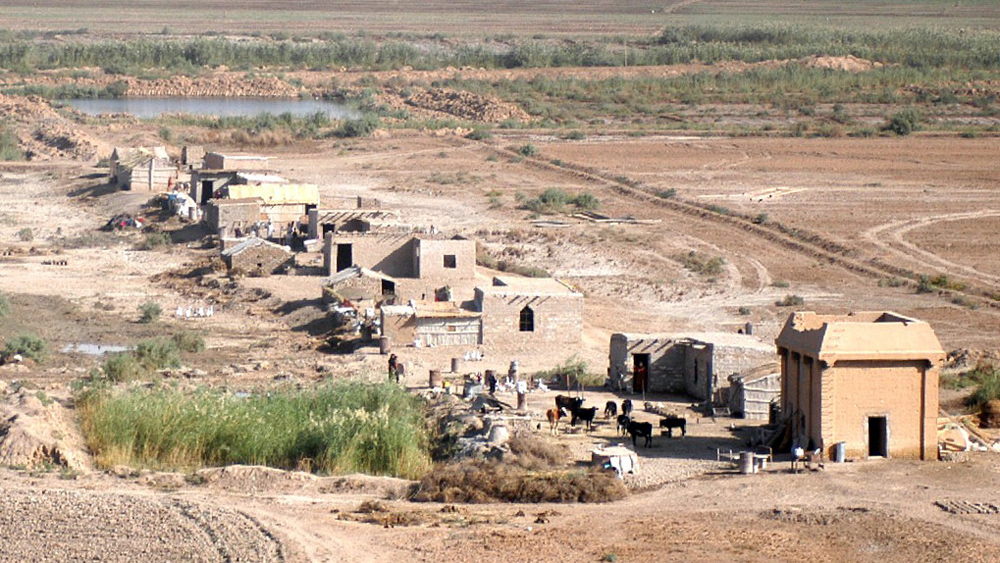 The New Humanitarian | As fighting continues in Anbar, displaced ...