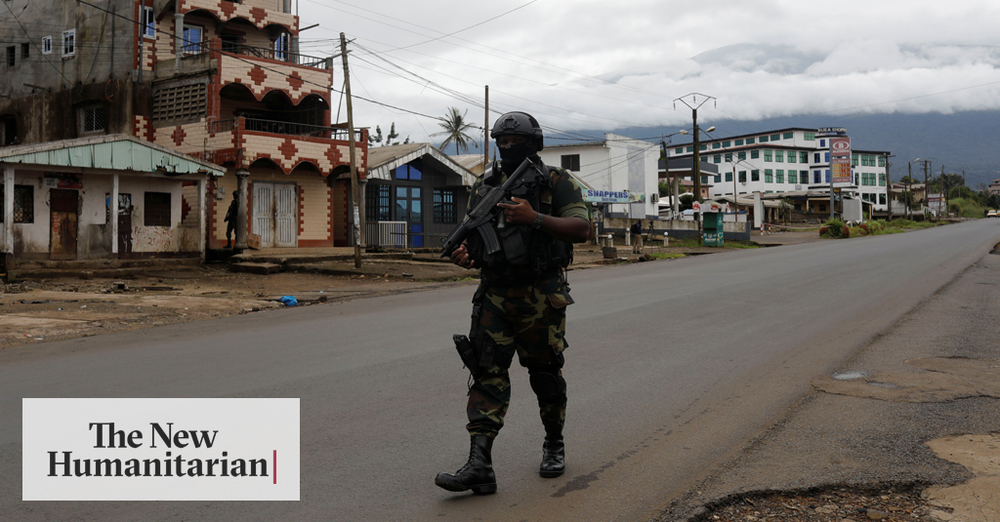 The New Humanitarian | Cameroon village attack leaves at least 22 dead