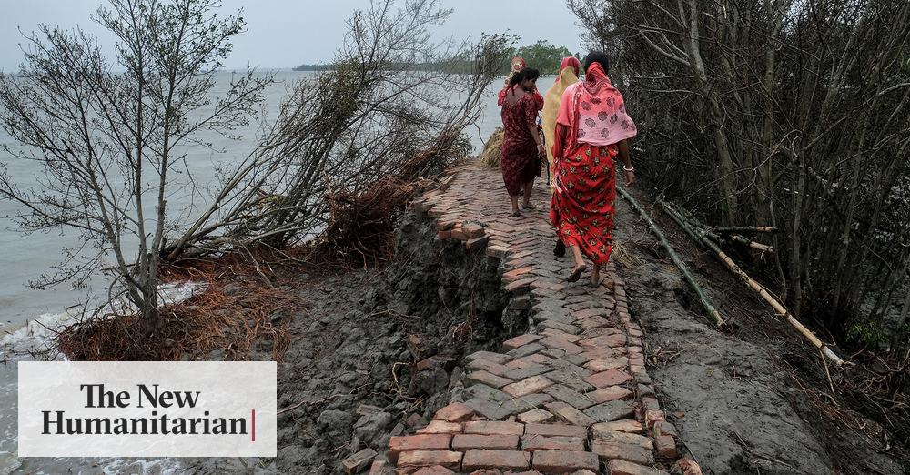 The New Humanitarian | COVID-19 and disasters: Pandemic forces ...