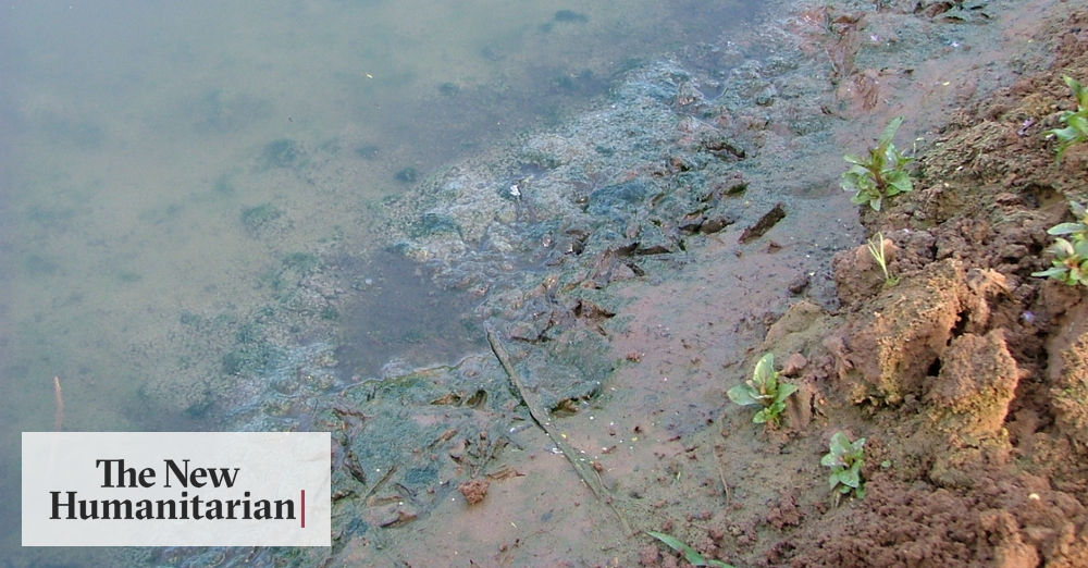 The New Humanitarian | River Jordan a “sewage pipe”