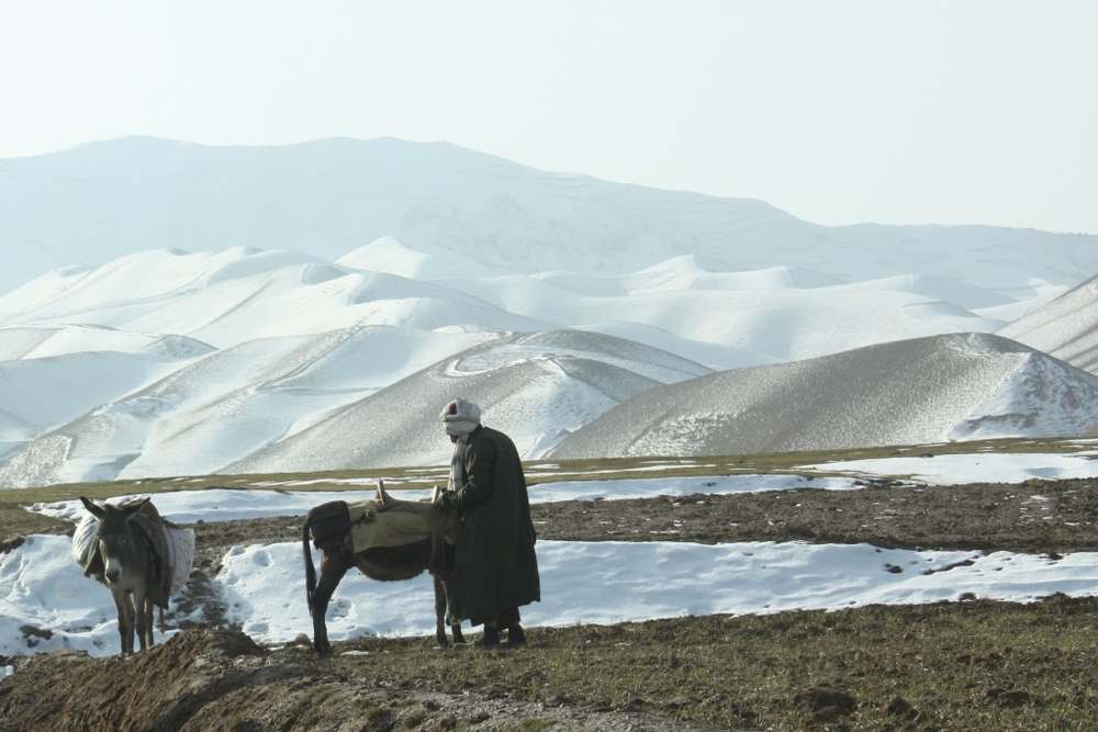 img_2881_large.jpg | Conflict, Environment and Disasters | The New ...