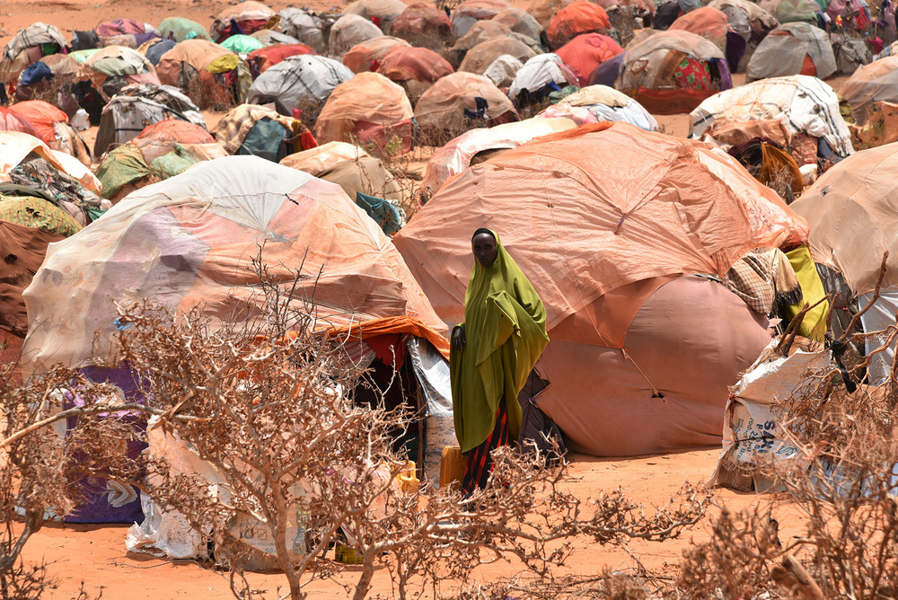 luglow-somalia-food-insecurity.jpg | Environment and Disasters, Food ...