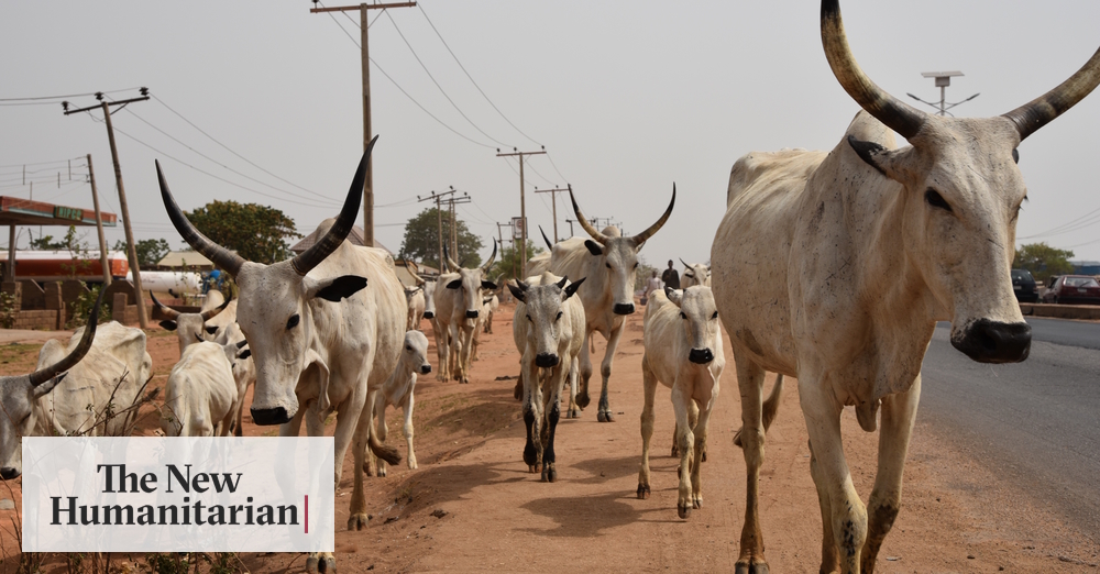 The New Humanitarian | The deadly conflict tearing Nigeria apart (and it’s not Boko Haram)